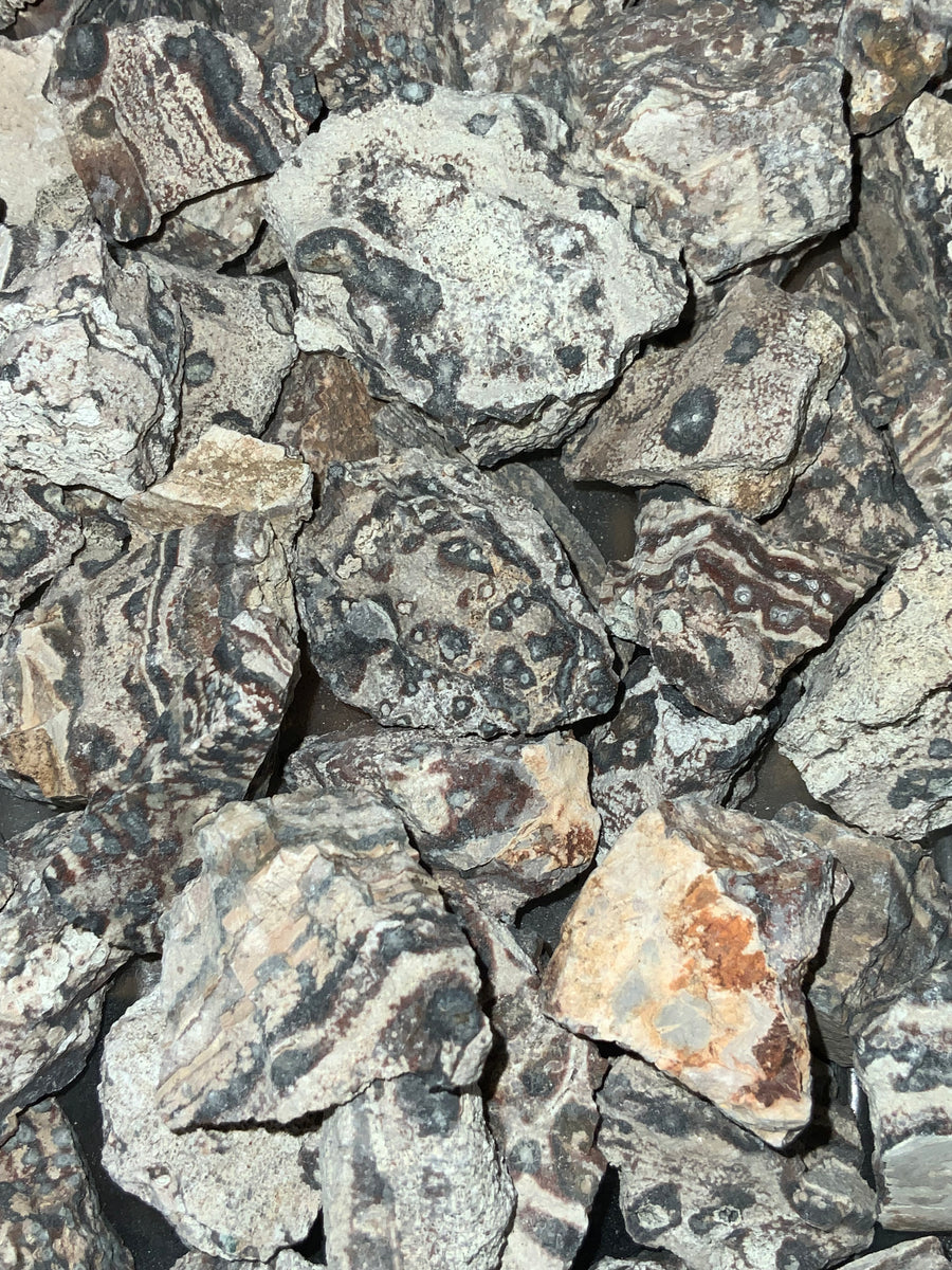 Leopard Skin Jasper Tumbled or Rough – Findyourharmony